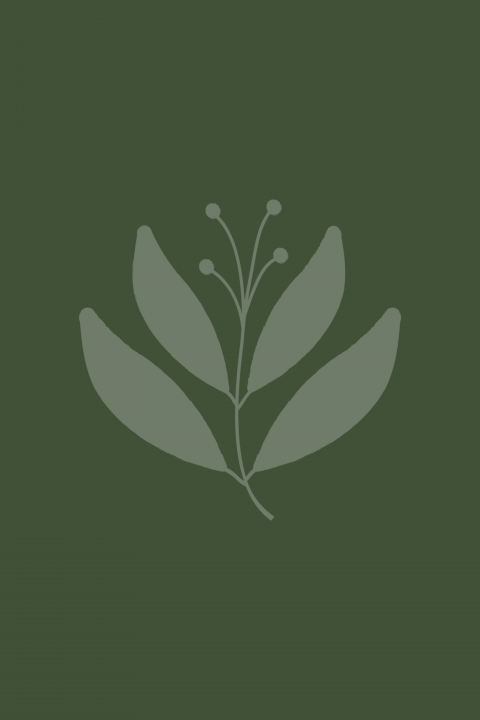 Our Team • Live Oak Chicago